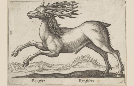 Manes Definition, Meaning & Usage | FineDictionary.com