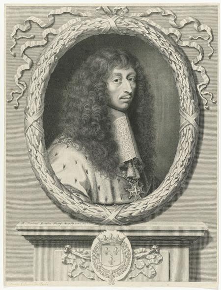 Regalia Definition, Meaning & Usage | FineDictionary.com