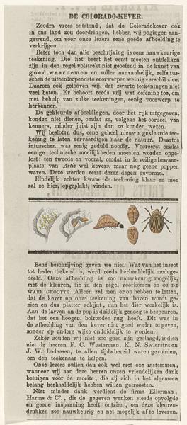 Clip Definition, Meaning & Usage | FineDictionary.com