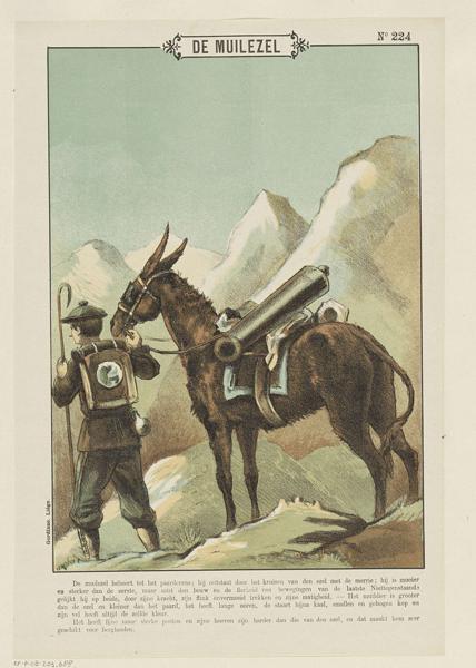 Mule Definition, Meaning & Usage | FineDictionary.com