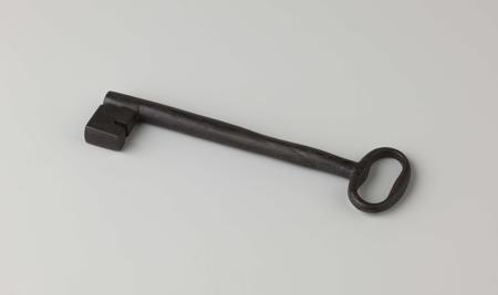 Kidney-shaped Definition, Meaning & Usage | FineDictionary.com