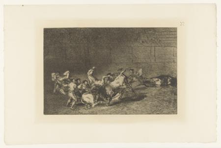 Picador Definition, Meaning & Usage | FineDictionary.com