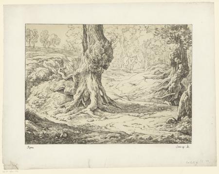 Gnarled Definition, Meaning & Usage | FineDictionary.com