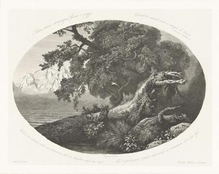 Snow-capped Definition, Meaning & Usage | FineDictionary.com