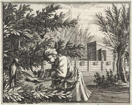 Carrion Definition, Meaning & Usage | FineDictionary.com