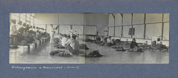 Panoramic sight Definition, Meaning & Usage | FineDictionary.com