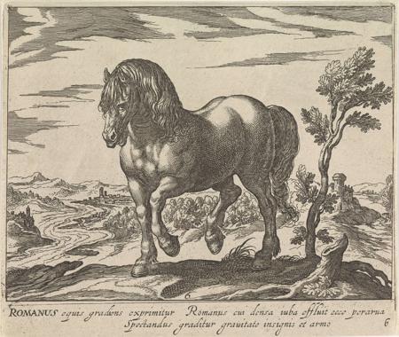 Trotting horse Definition, Meaning & Usage | FineDictionary.com