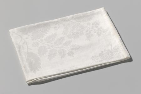 Napkin pattern Definition, Meaning & Usage | FineDictionary.com