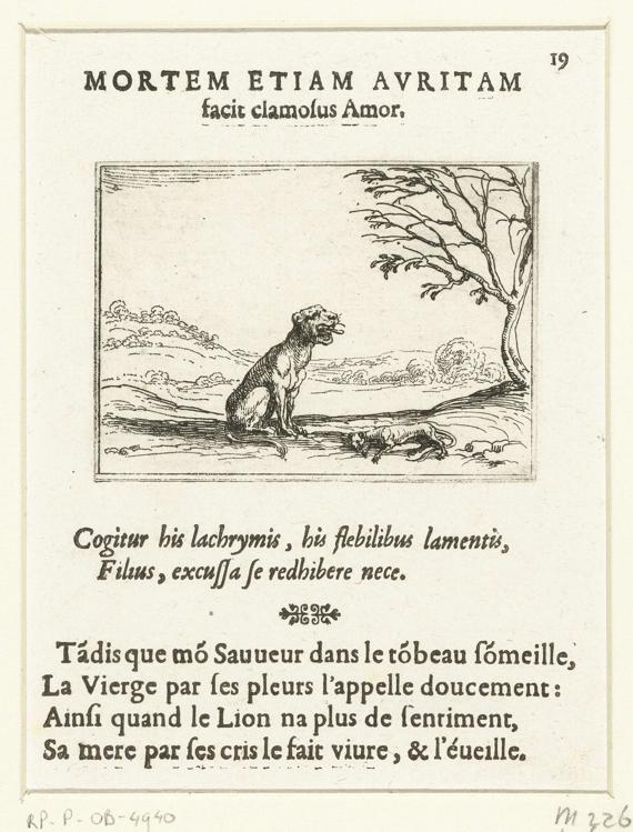 Lifeless Definition, Meaning & Usage | FineDictionary.com