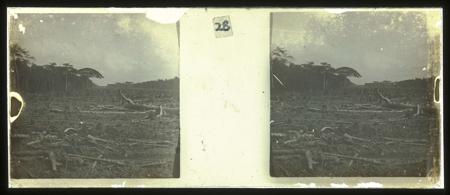 Fell Definition, Meaning & Usage | FineDictionary.com