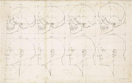 Proportion Definition, Meaning & Usage | FineDictionary.com