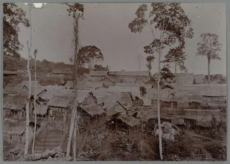 Boer Definition, Meaning & Usage | FineDictionary.com