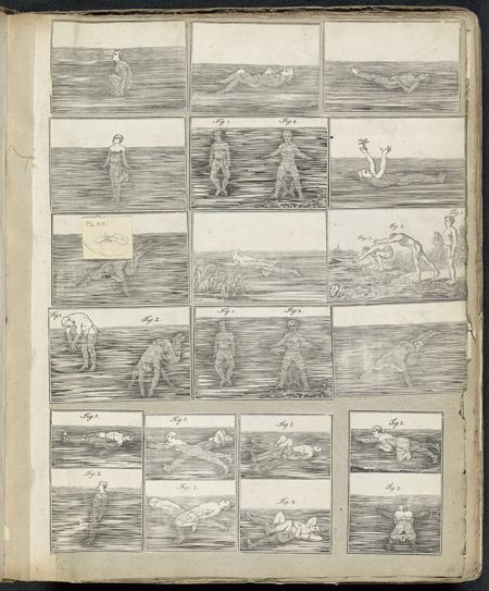 Cut-out Definition, Meaning & Usage | FineDictionary.com