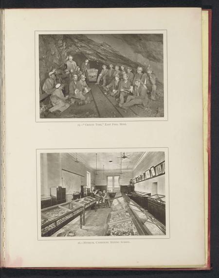 Miner Definition, Meaning & Usage | FineDictionary.com