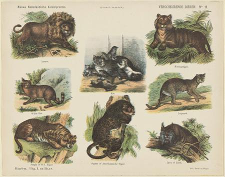 Predation Definition, Meaning & Usage | FineDictionary.com