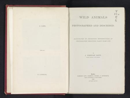 Wilding Definition, Meaning & Usage | FineDictionary.com