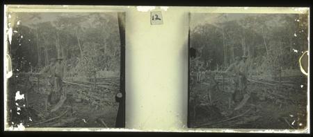 Fell Definition, Meaning & Usage | FineDictionary.com