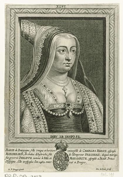 Veiled Definition, Meaning & Usage | FineDictionary.com