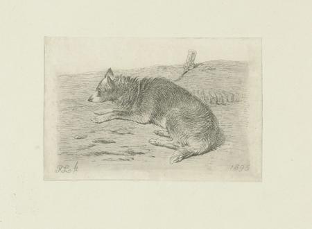 Drooping Definition, Meaning & Usage | FineDictionary.com