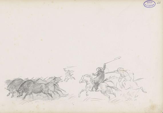 Lasso Definition, Meaning & Usage | FineDictionary.com