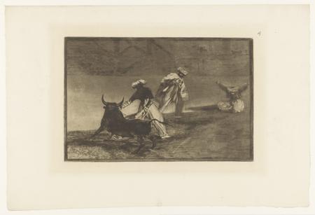 Torero Definition, Meaning & Usage | FineDictionary.com