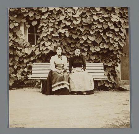 Bench Definition, Meaning & Usage | FineDictionary.com