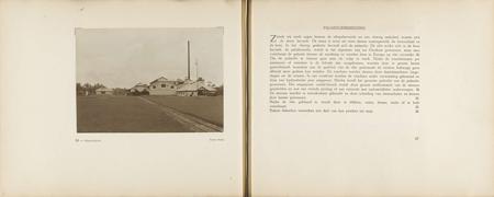 Palm oil Definition, Meaning & Usage | FineDictionary.com