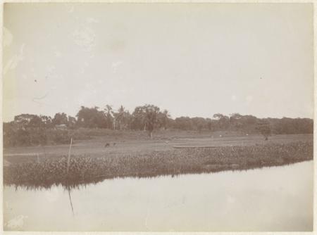 Para Definition, Meaning & Usage | FineDictionary.com