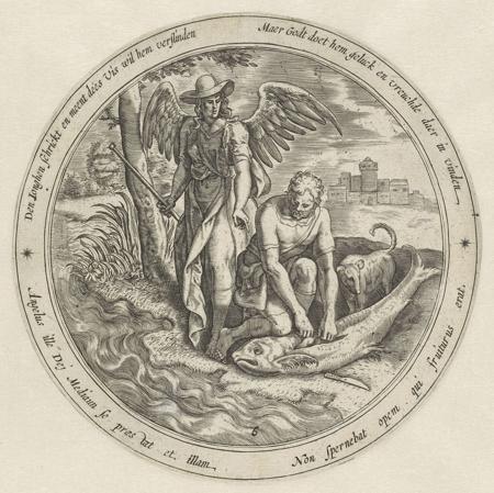 Gall Definition, Meaning & Usage | FineDictionary.com