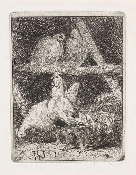 Hen Definition, Meaning & Usage | FineDictionary.com