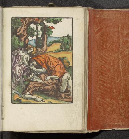 Abele Definition, Meaning & Usage | FineDictionary.com