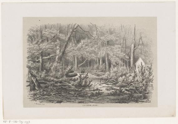 Lithograph Definition, Meaning & Usage | FineDictionary.com