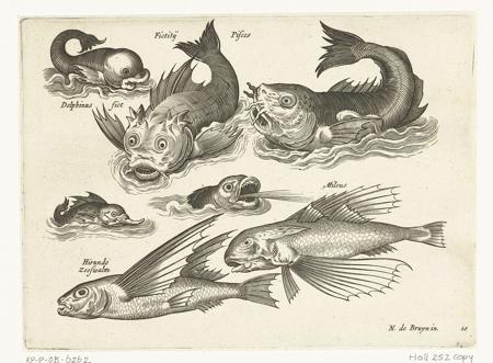 Aquatic Definition, Meaning & Usage | FineDictionary.com