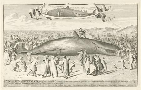 Zee Definition, Meaning & Usage | FineDictionary.com