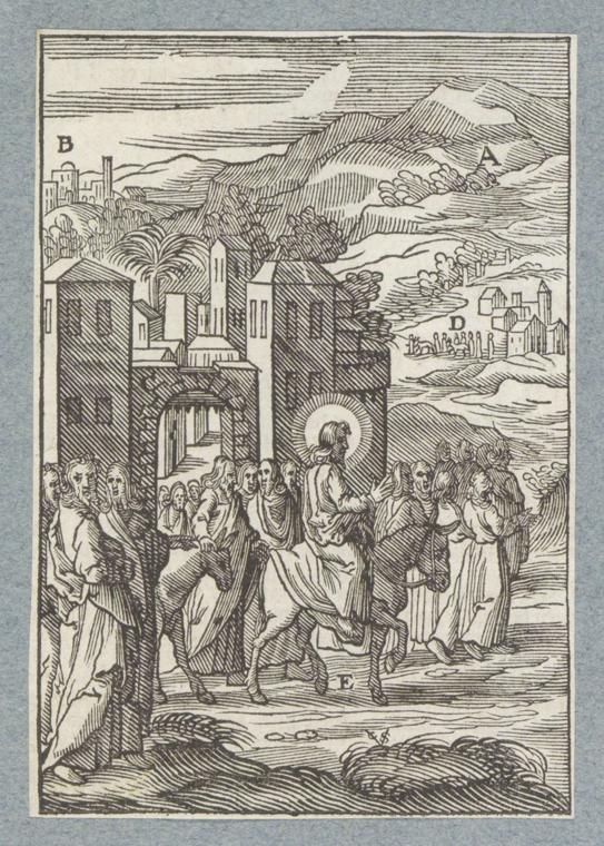 Colt Definition, Meaning & Usage | FineDictionary.com