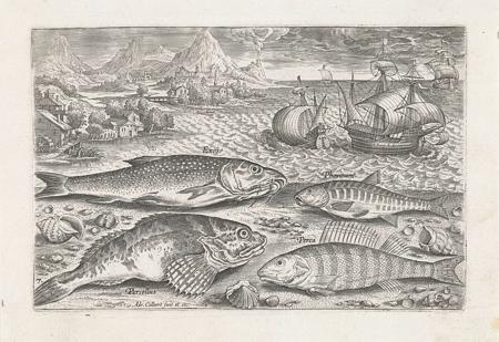 Perch Definition, Meaning & Usage | FineDictionary.com