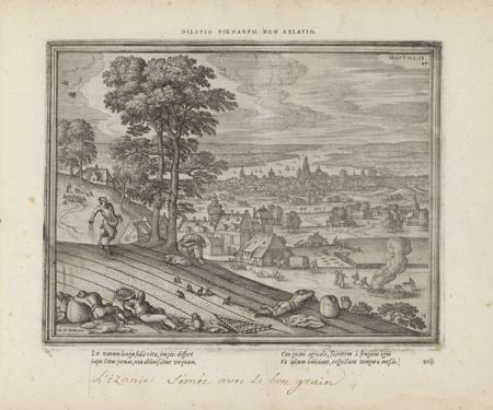 Weeding Definition, Meaning & Usage | FineDictionary.com