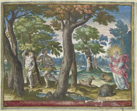 Adamant Definition, Meaning & Usage | FineDictionary.com