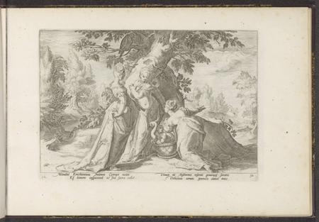 Corvus Definition, Meaning & Usage | FineDictionary.com