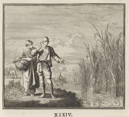 Swamp Definition, Meaning & Usage | FineDictionary.com