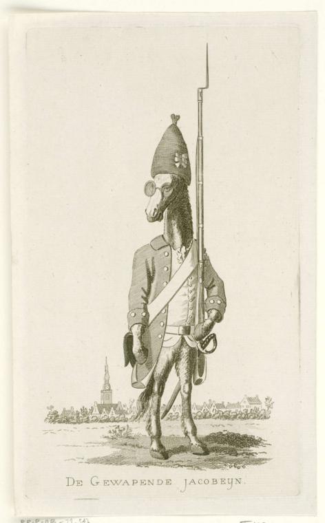 Jacobin Definition, Meaning & Usage | FineDictionary.com