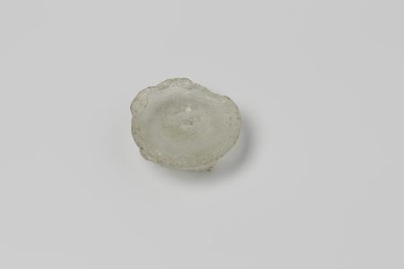 Basal Definition, Meaning & Usage | FineDictionary.com