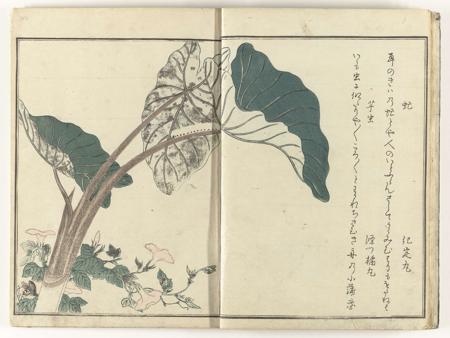 Daze Definition, Meaning & Usage | FineDictionary.com