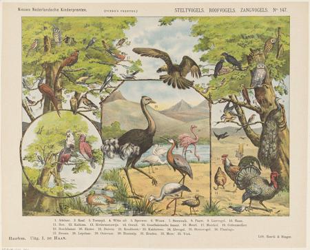 Total Definition, Meaning & Usage | FineDictionary.com