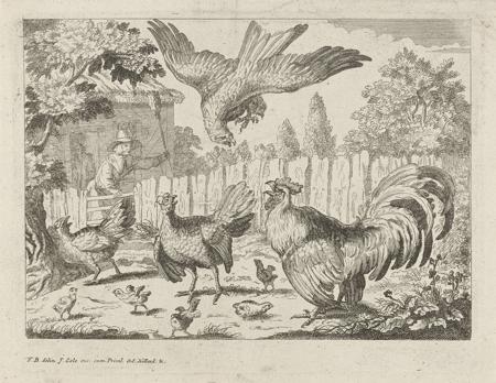 Buzzard Definition, Meaning & Usage | FineDictionary.com