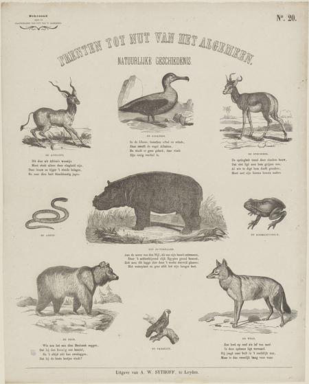 Antelope Definition, Meaning & Usage | FineDictionary.com