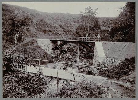 Auxiliary Definition, Meaning & Usage | FineDictionary.com