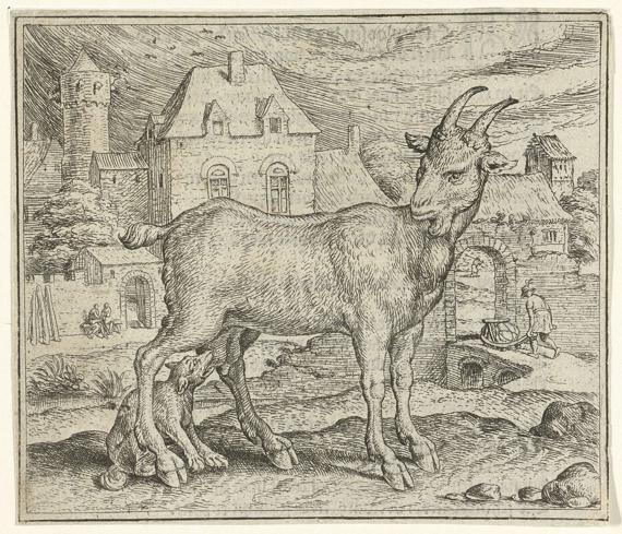 Transcend Definition, Meaning & Usage | FineDictionary.com