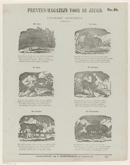 Ibex Definition, Meaning & Usage | FineDictionary.com