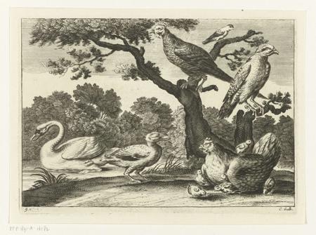 Hen Definition, Meaning & Usage | FineDictionary.com